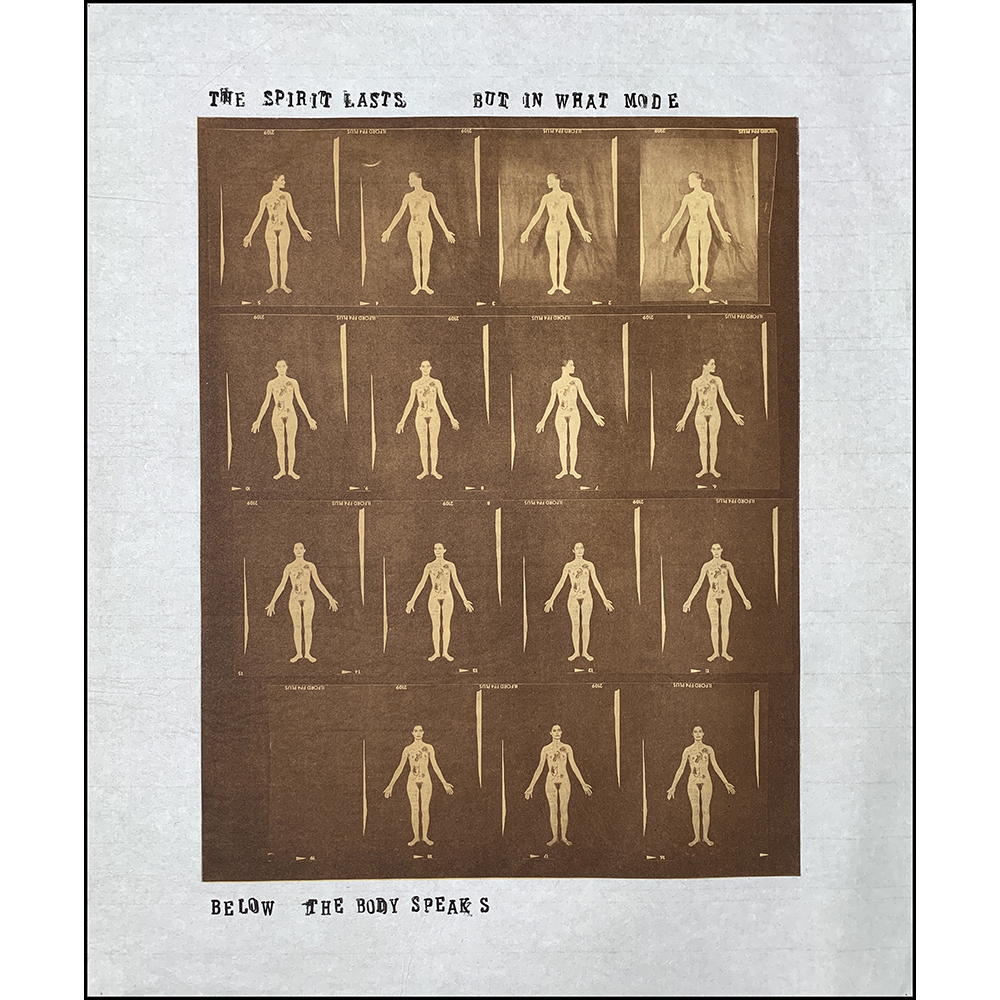Lesley Dill - Little Women - Turner Carroll Gallery